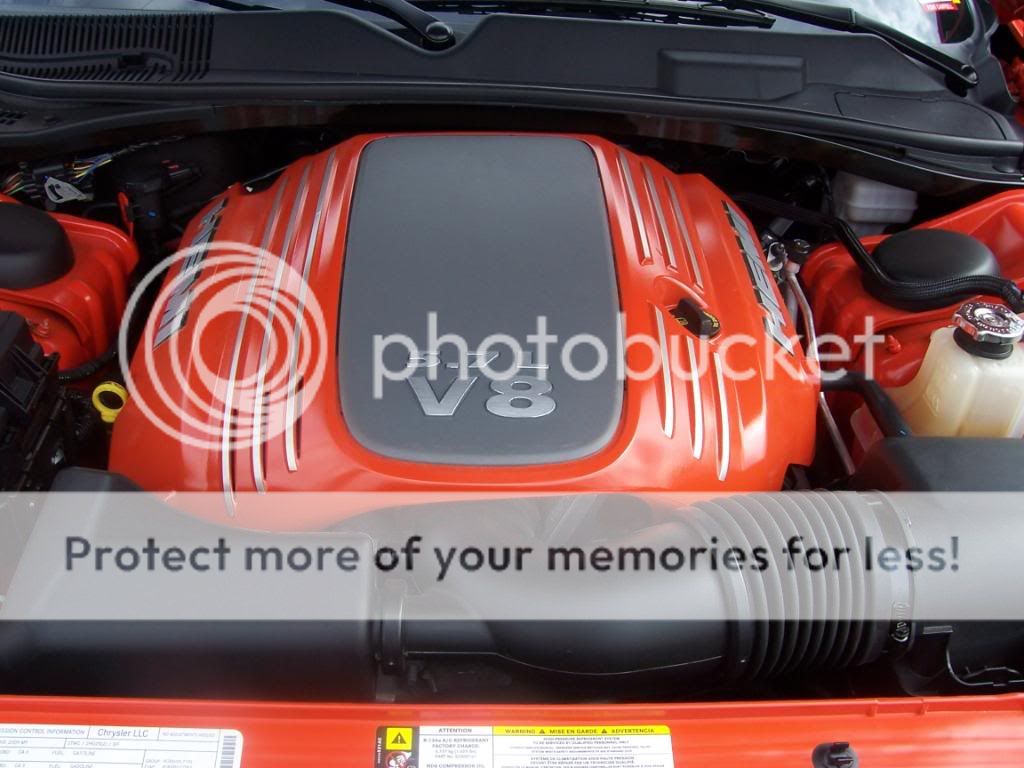 Custom Engine Covers | Page 3 | Dodge Challenger Forum