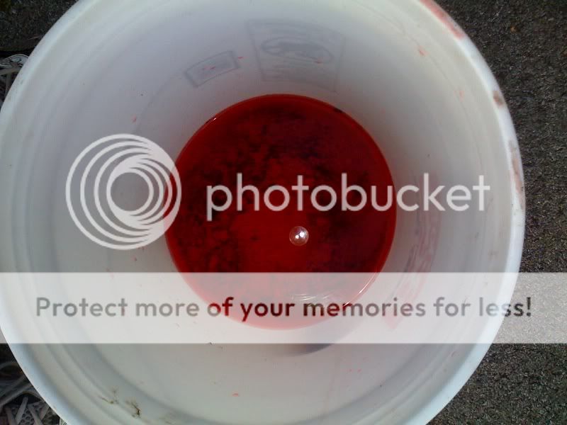 coolant filter - Ford Truck Enthusiasts Forums